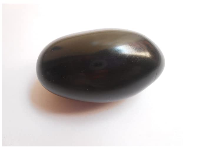 SynSpiritStore Original Shaligram/Shalagram Shila Stone (Approx. 6~9 cm) for Lord Vishnu Pooja and Tulsi Pooja, Nepal Gandaki River Stone