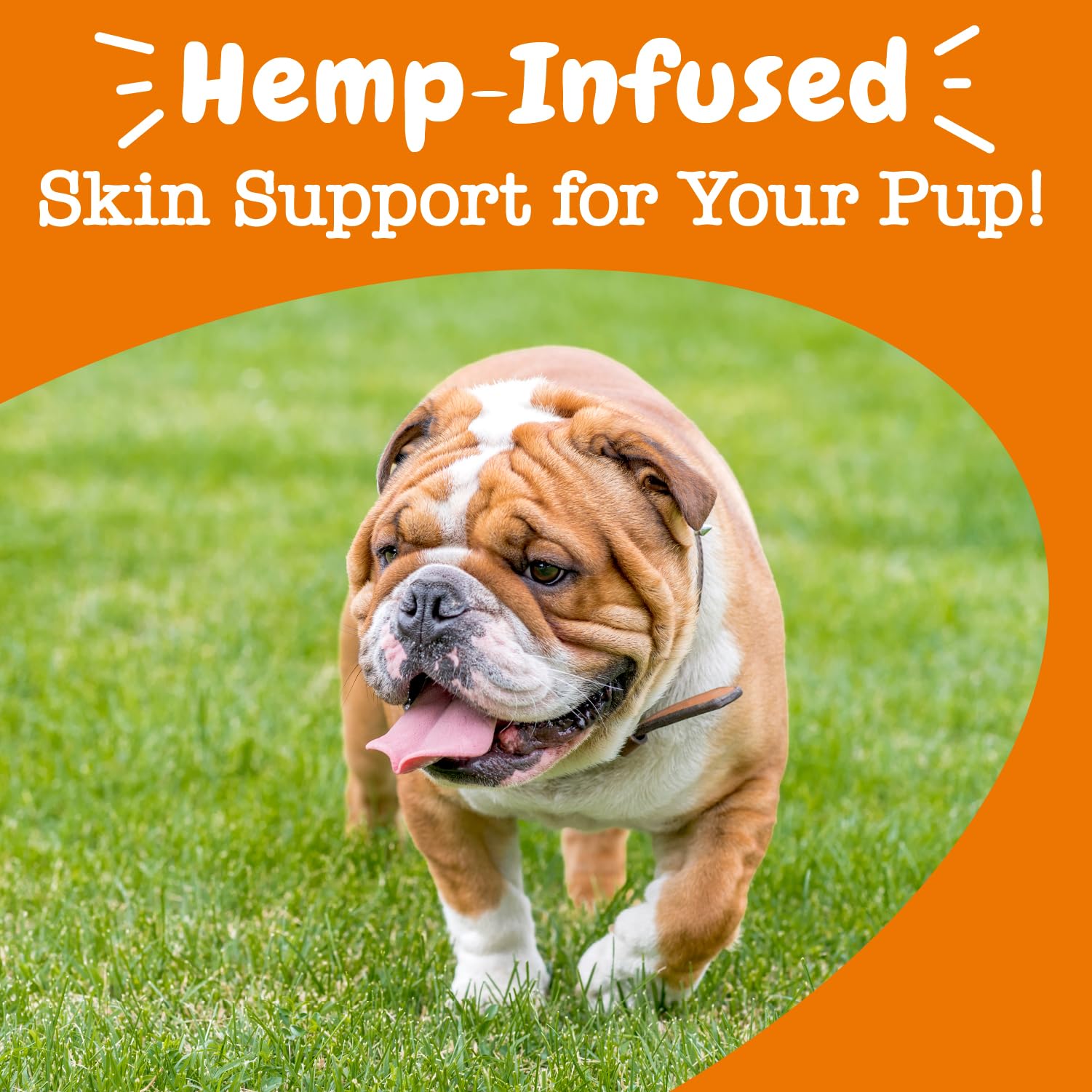 Zesty Paws Skin & Coat Bites for Dogs – Fish Oil Soft Chews with Omega-3 Fatty Acids EPA & DHA - Skin, Coat, Antioxidant & Immune Support - Hemp - 90 Count