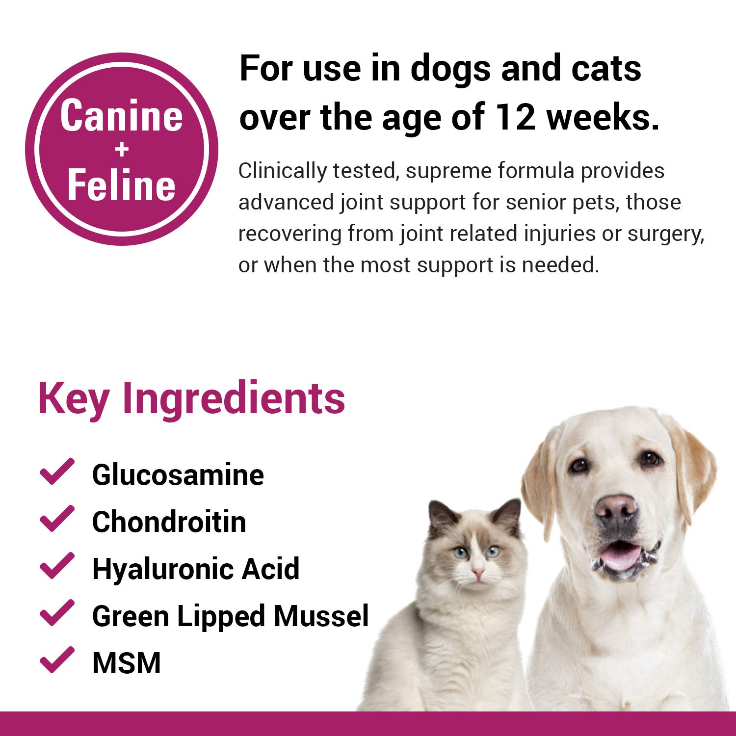 Vet Classics ArthriEASE-Gold Advanced Joint Support for Dogs, Cats, β Supports Pet Flexibility, Discomfort β Helps Improve Dog Joint Movement, Cat Cartilage Health - Includes Antioxidants β 120 Ct.