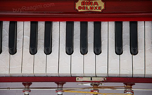 Harmonium, BINA No. 9A, In USA, 7 Stops, 3 1/2 Octaves, Rosewood Color, Coupler, Special Double Reeds, Bag, Indian Musical Instrument (GSB-BCB)