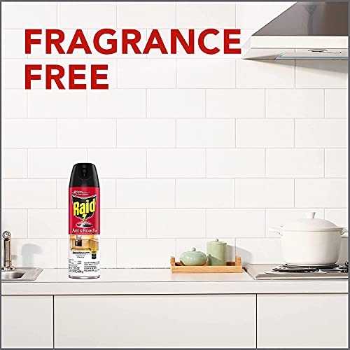 Raid Ant and Roach Killer, Fragrance Free, 17.5 OZ