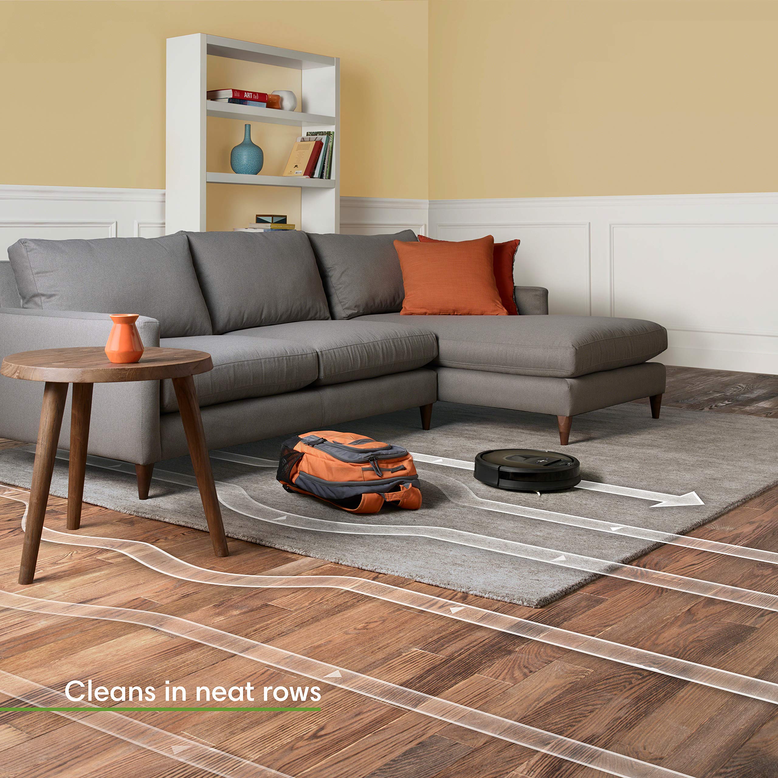 iRobot Roomba 981 Robot Vacuum - Wi-Fi, Compatible with Alexa, Ideal for Pet Hair, Carpets, Hard Floors, Power Boost Technology with Echo Dot (4th Gen)