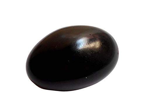 SoilMade Black Marble Shaligram, Oval Shape, Stone Made, Size Aprox 3cm and 60g, Pack of 1 Black Marble Shaligram in Box