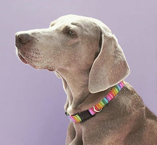 Galaxy Print Collar for Pets Size Small 3/4 Inch Wide and 12-17 Inches Long - Hand Made Dog Collar by Oh My Paw'd