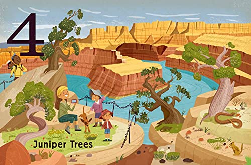 Trees: A Count and Find Primer (BabyLit)
