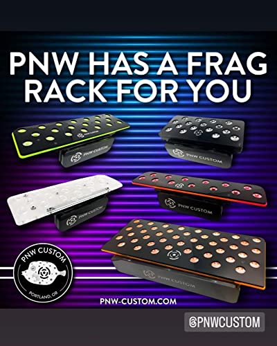 PNW Custom Premium Medium Magnetic Frag Rack Orange w/Frag Lock | Acrylic 20 Hole Plugs Reef Coral Frag Holder for Aquarium (1/2" Glass Magnet)