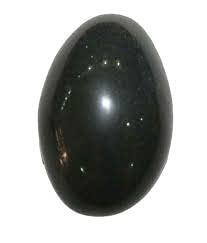Shaligram Saligram Shali Gram Natural shaligram Shila gandaki River Narmada Nadi shaligram (Black) Stoneware Yantra (Pack of 1) Poojan Hawan and anushthan items samagri