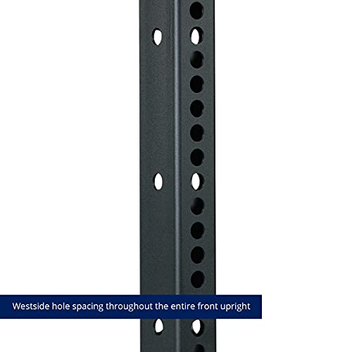 Titan Fitness T-3 Series 82-inch Wall Mounted Folding Power Rack, Space Savings Rack, Folds up to 5†from the Wall