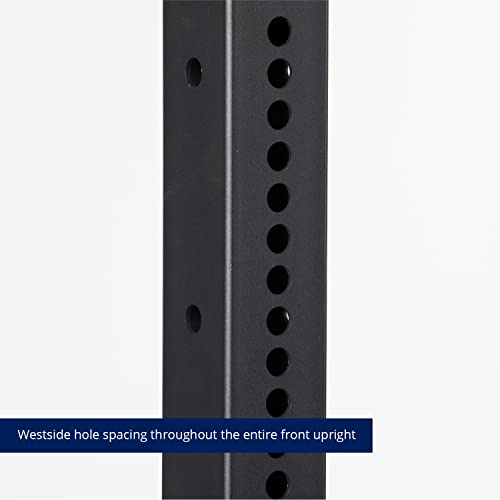 Titan Fitness X-3 Series 91in Wall Mounted Folding Power Rack, 21in Depth Space Savings Rack, Folds up to 8†from the Wall