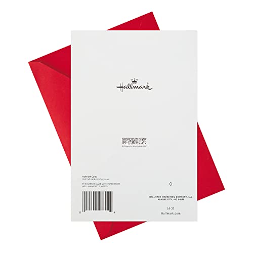 Hallmark Peanuts Valentine's Day Pop Up Card (Snoopy and Woodstocks)