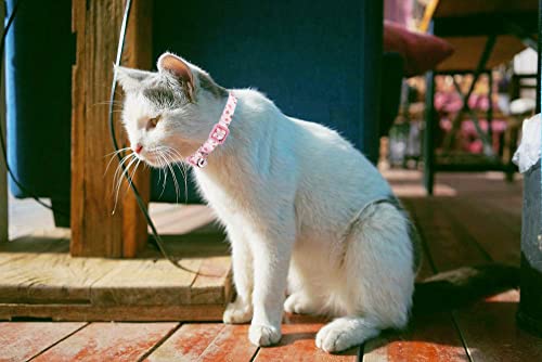 YUDOTE Breakaway Cat Collar with Bell, 2 Pack of Adjustable Floral Cat Collars Cute Safety Purple Pink Kitty Strawberry Collar