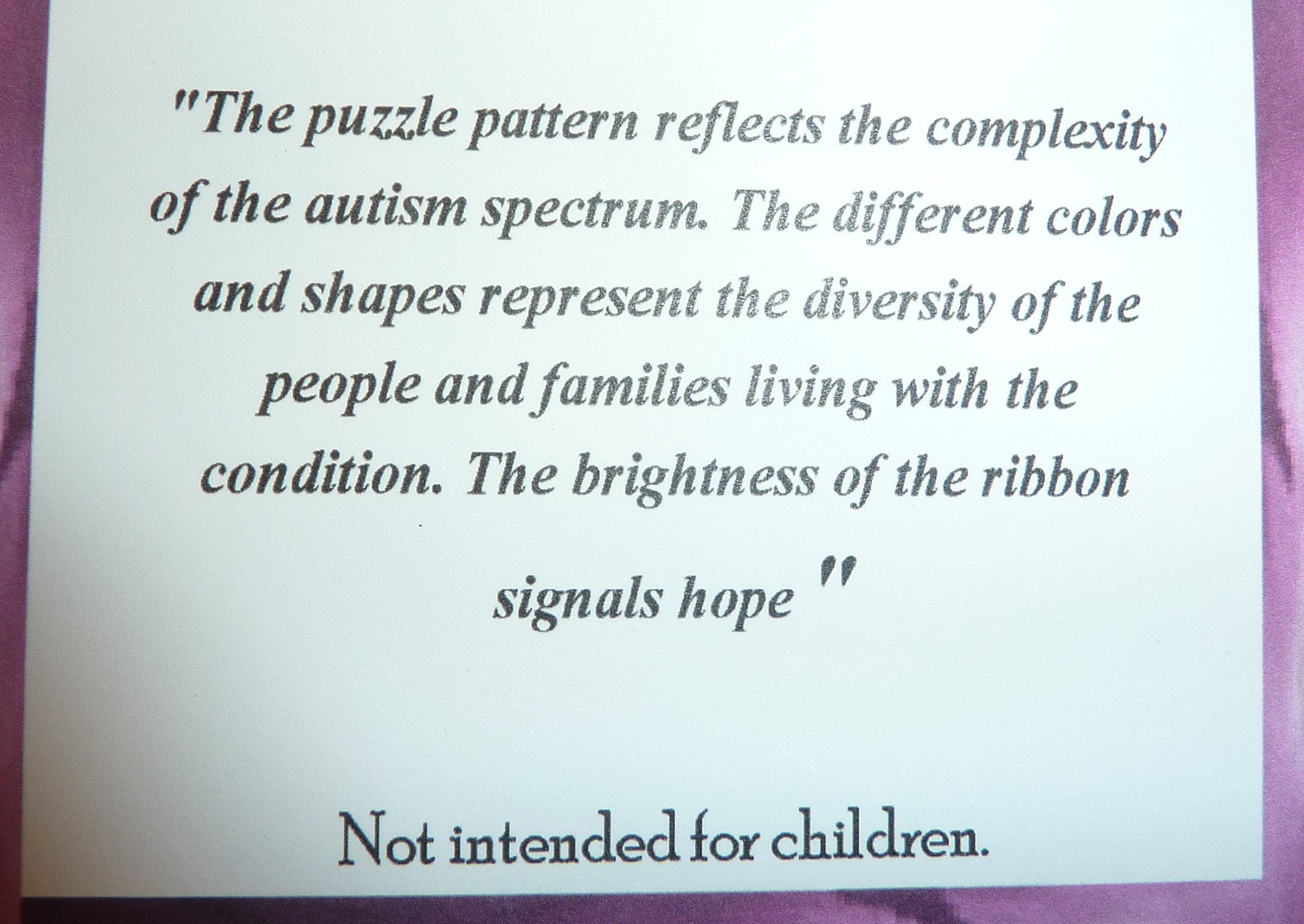 Hidden Hollow Beads Autism Awareness Bracelet, Adult size, Comes packaged (Stretch (Fits Most Adults))
