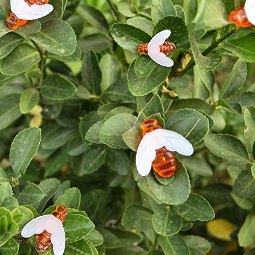 Joiedomi Solar String Lights 21ft 30 LED Waterproof Simulation Bees Decor for Christmas Home Party Garden Patio Xmas Outdoor Decor