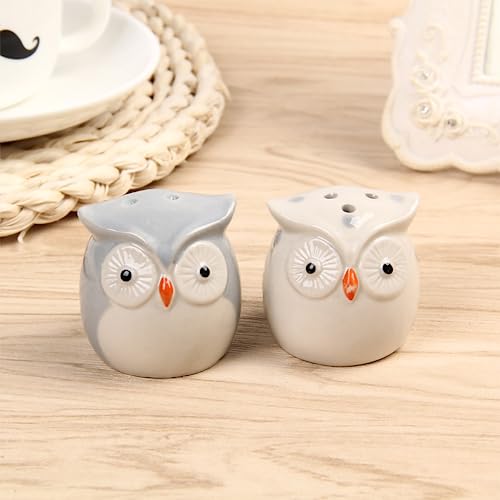 WAIT FLY Owl Shape Ceramic Salt and Pepper Shakers Home Kitchen Decoration-Gray-Set of 2