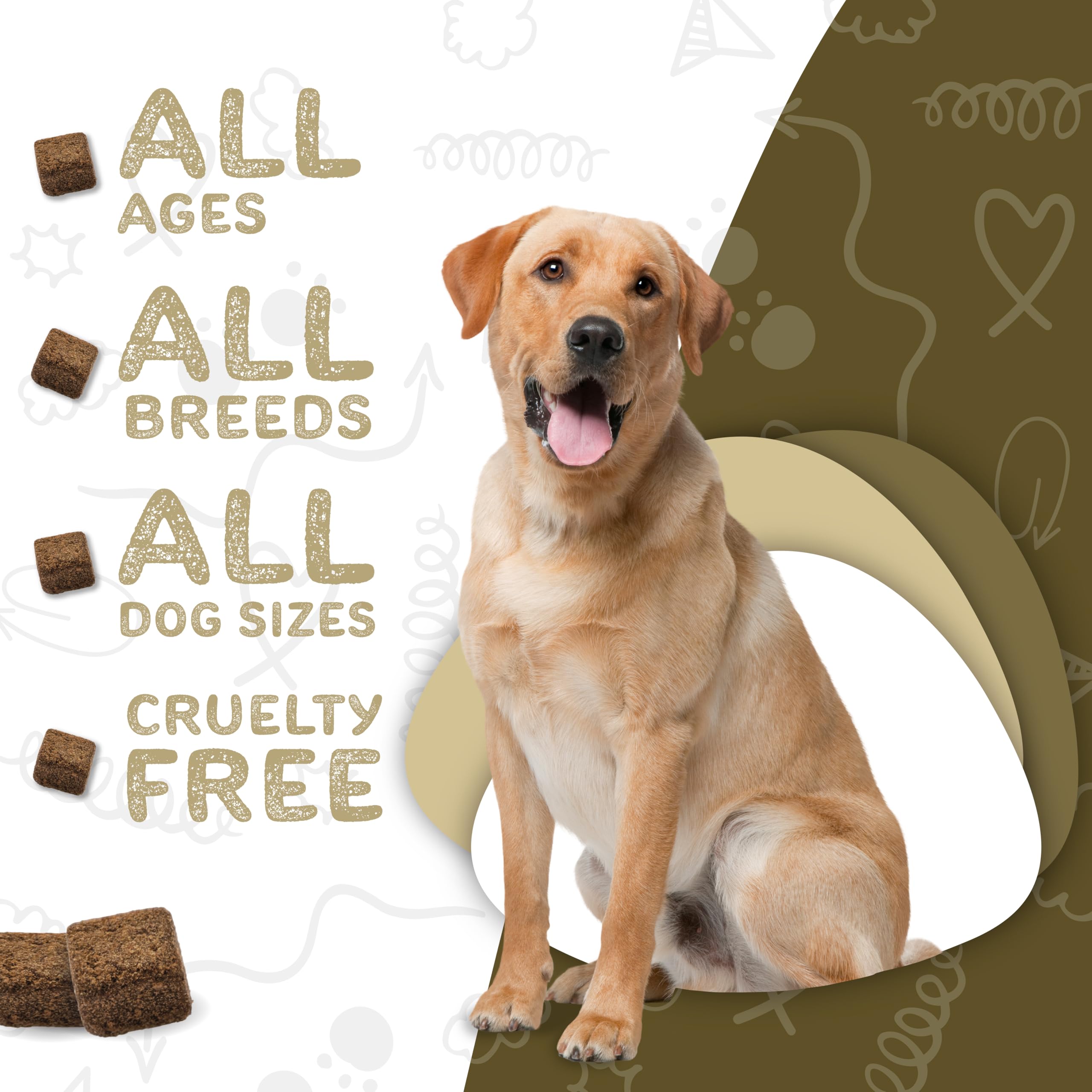 waggedy Daily Essentials Adult Soft Chews — Dog Multivitamin & Immune System Supporter — Dog Nutritional Supplement — Small/Large Dog Supplements & Vitamins (60 Chews)