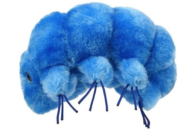 GIANTmicrobes Tardigrade Plush, Water bear Plush Toy, Biology Gifts, Microbiology Gifts, Tardigrade Stuffed Animal, Tardigrade Gifts, Tardigrade Toy