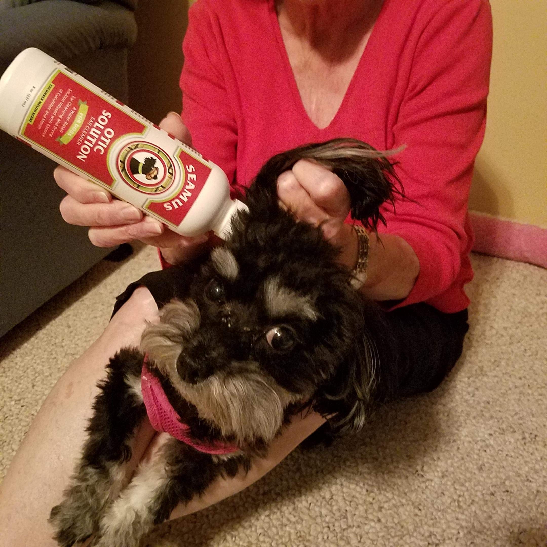 Seamus Otic Ear Solution - Best Ear Cleaner for Dogs, Professionally Formulated for Itch, Debris and Smell, Infused with Essence of Cucumber, Melon, Aloe Vera and Oatmeal Extract