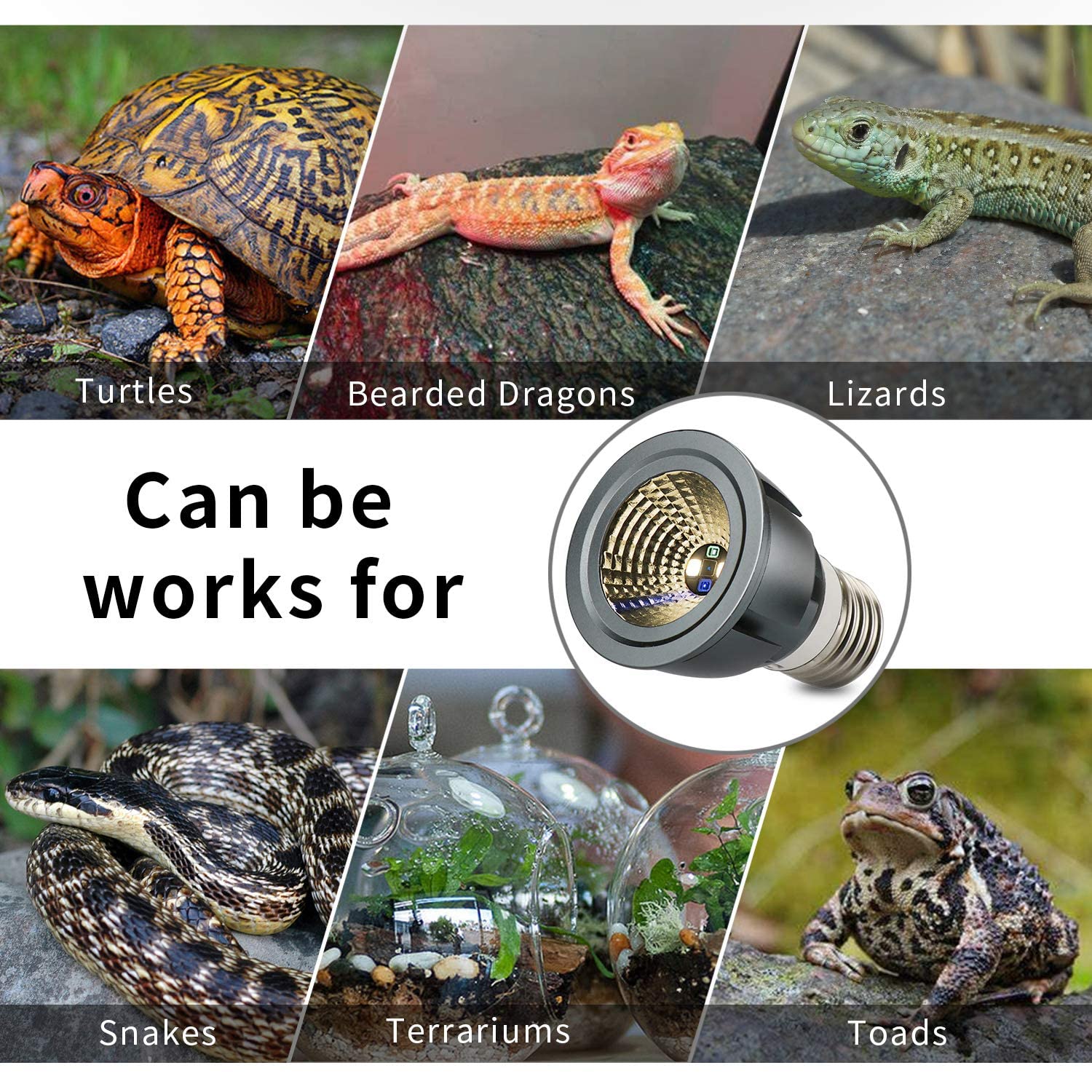 Honpal Led Reptile Light, LED UVA + UVB Sun Lamp for Amphibian Turtle Bearded Dragons Chameleon Lizard and Snake to Reptile Heat lamp (3 W)