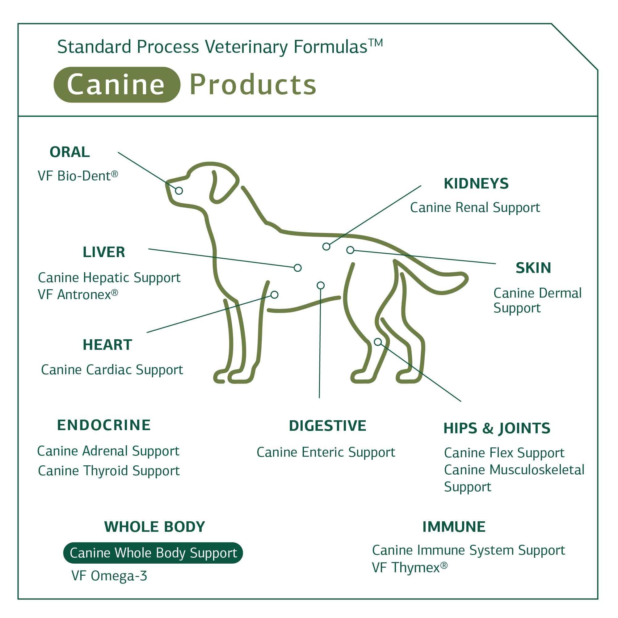 Standard Process Canine Whole Body Support - Multisystem Support Supplement for Canines - Nutritional Powder Supplement for Daily Health Maintenance - Multisystem Supplement Formula - 100 g