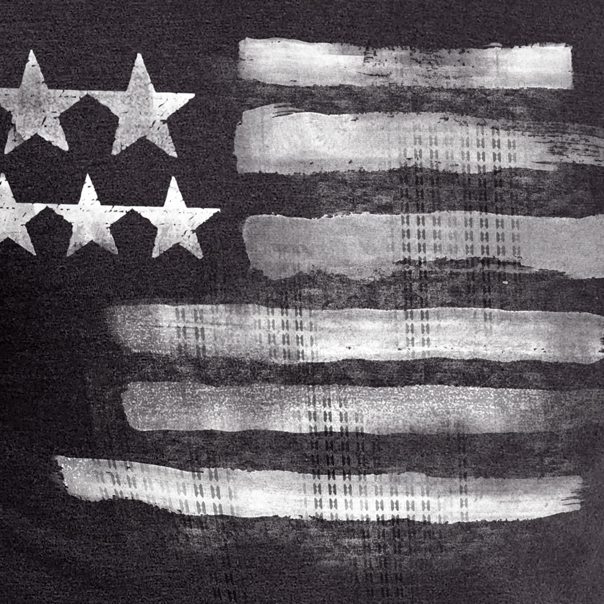 Hanes Mens Y06382 Fashion-t-shirts, Black And White Flag, X-Large US