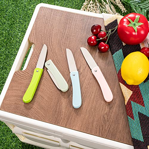 Sumteene Paring Knife, 4 Pcs Folding Knife, 3" Vegetable and Fruit Knife, Stainless Steel Small Kitchen Knife for Cooking, Peeling, Slicing, Picnics, & Travel, Pink/Green/Blue/Light Green