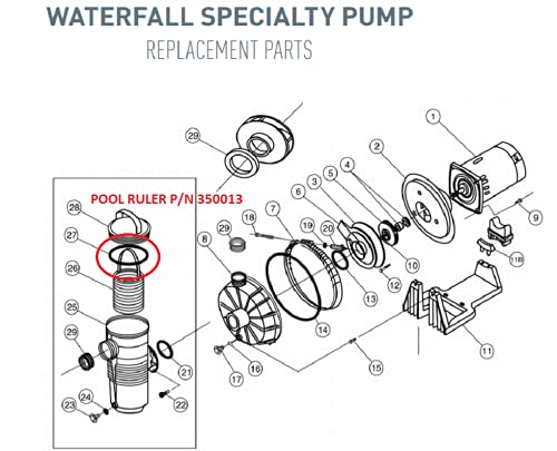 Pool Ruler 350013 Pentair Pump Lid O-Ring 2 Pack + Lubricant - IntelliFlo, WhisperFlo, More