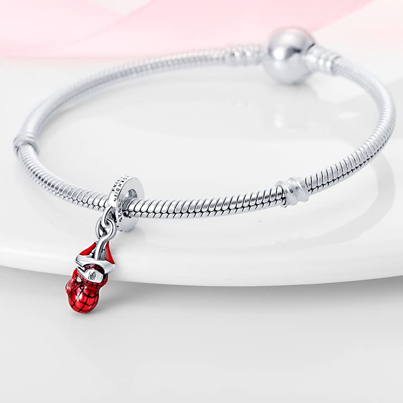 HappyStar 925 Sterling Silver Charms for Bracelets and Necklaces,Combination Dangle Pendants Beads Charms Jewelry Gift for Couples Sisters.(With Spacer Beads)