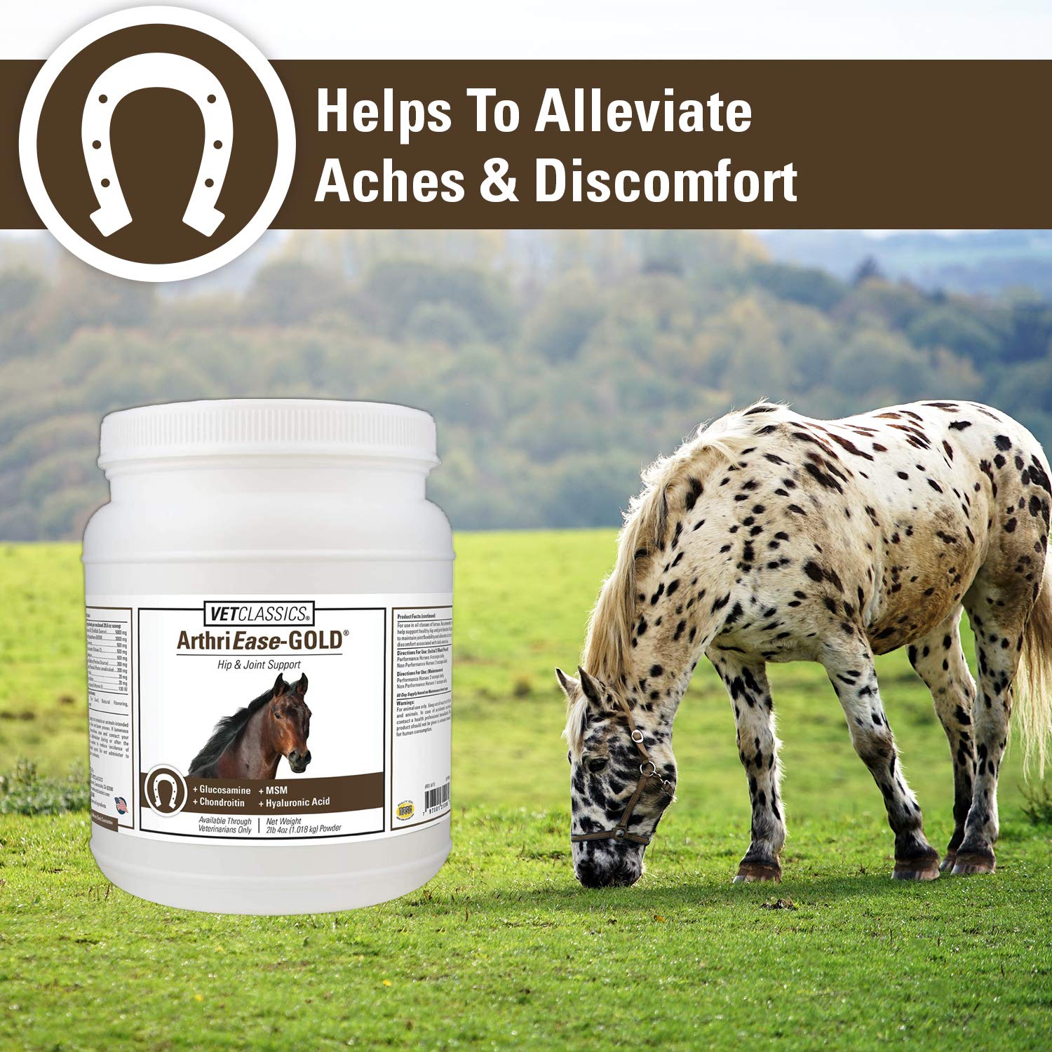 Vet Classics ArthriEase-Gold Joint Support for Horses - Powder Health Supplement for Horses β Alleviates Aches and Discomfort β For Flexibility, Healthy Joint Function β Antioxidants 2 lb. 4 Oz.Powder