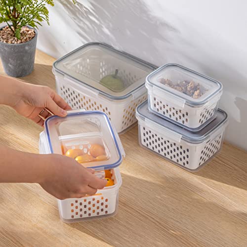 Yiser Double Layer Draining Basket Fresh Keeping Box Kitchen Supplies Sealed Box Plastic Fresh Keeping Box Refrigerator Fruit Storage Sticky Rice Basket (C, One Size)