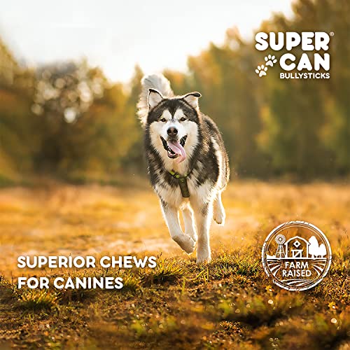 SUPERCAN BULLYSTICKS 12" Braided (30pc) Beef Bully Sticks for Small Medium Large Dogs - 100% Natural Dog Chews - Long Lasting Treats for Aggressive Chewers - Healthy Teeth - Free Range