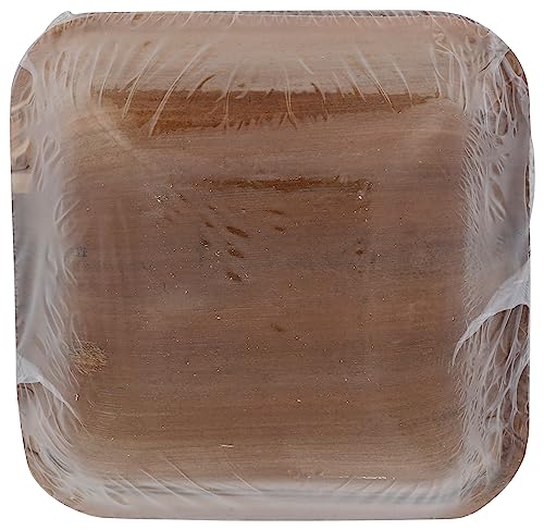 GREENLID Palm Leaf Bowls, 10 CT
