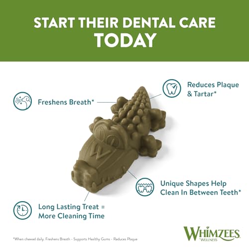 WHIMZEES Alligator, Natural and Grain Free Dog Dental Sticks, Dog Chews for Medium Breeds, 12 Pieces, Size M