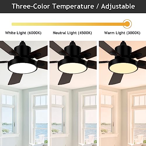 ghicc 52-Inch Ceiling Fans with Lights, Black Fan Lights Remote Control- Reversible Silent DC Motor and Matte