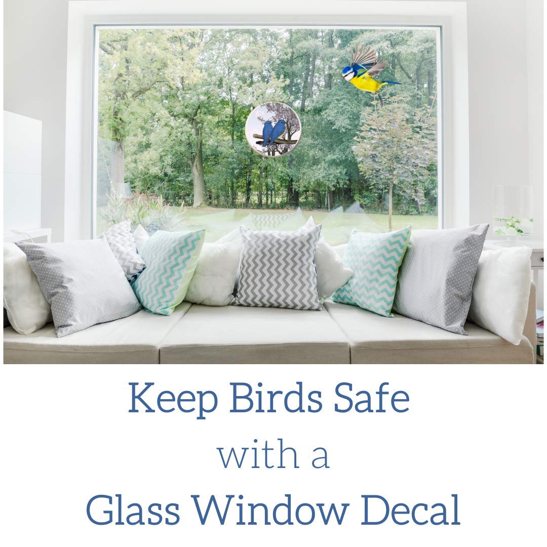 Glass Door Stickers Decals β 2 Per Pack - Printed on Both Sides - Windows, Doors, Patio, Sliding, & Shower, Removable and Repositionable. Dogs, Cats, Pets, Kids, Guests, Elderly, Bird Alert
