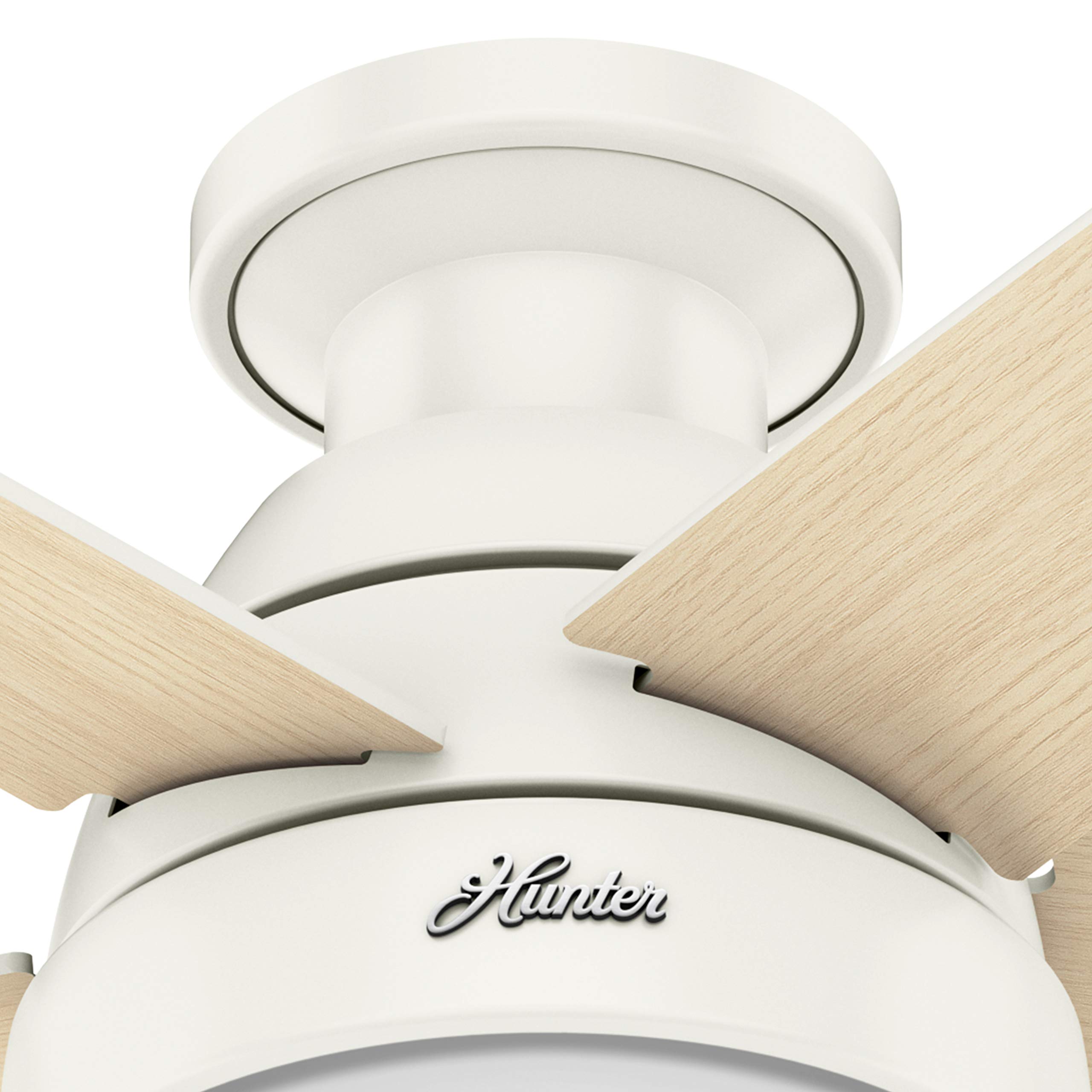 Hunter Fan 46 inch Low Profile Fresh White Indoor Ceiling Fan with Light Kit and Pull Chain (Renewed)