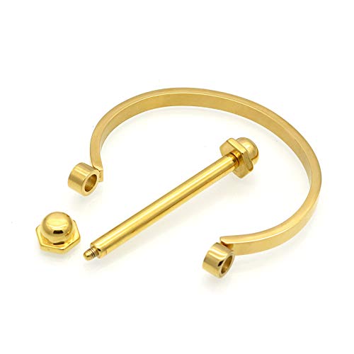 Globalwells Stainless Steel D Shape Bar Bracelet Screw Shackle Horseshoe Novelty Fashion Bangle Cuff, Unisex