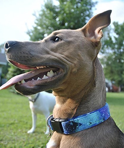 Galaxy Print Collar for Pets Size Small 3/4 Inch Wide and 12-17 Inches Long - Hand Made Dog Collar by Oh My Paw'd
