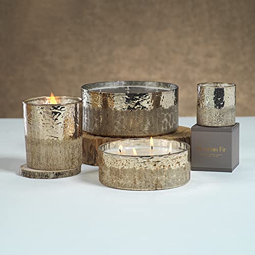 Zodax Siberian FIR Scented Antique Gold Gift Boxed Scented Candle - 6 Ounce