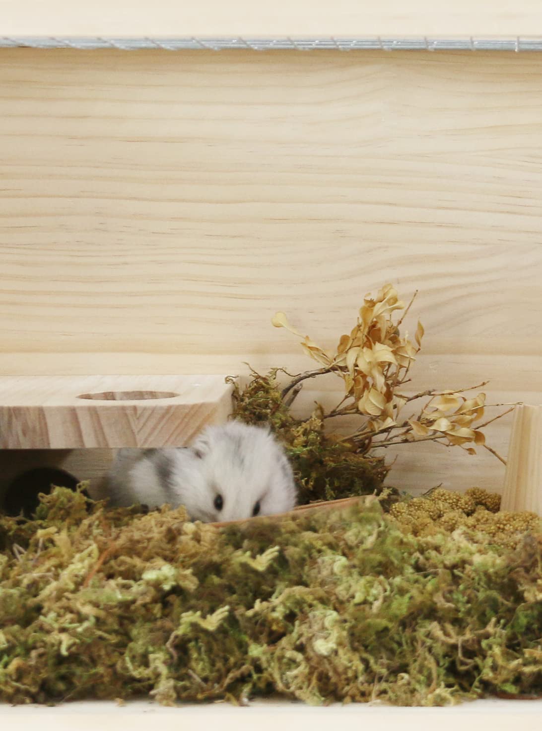 Rubor Wooden Hamster Cage Mice and Rat Habitat Small Animal Habitat for Rabbits, Guinea Pigs, Chinchillas with Openable Top and Large Acrylic Sheets