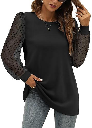 WIHOLL Black Fall Clothes for Women 2023 Loose Fits Long Sleeve Tunic Tops Dressy Casual S