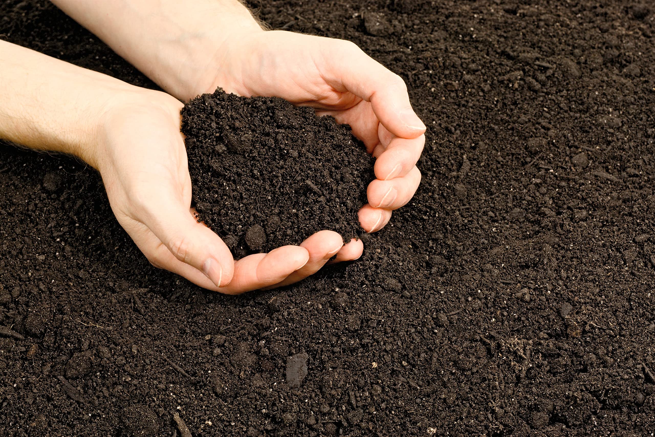 Vermont Compost Company Fort Vee - Organic Potting Soil Mix | High-Nutrient Compost-Based Potting Soil for Indoor & Outdoor Container Seed Starting, Plants & Vegetables Organic Gardening | 20 Quarts