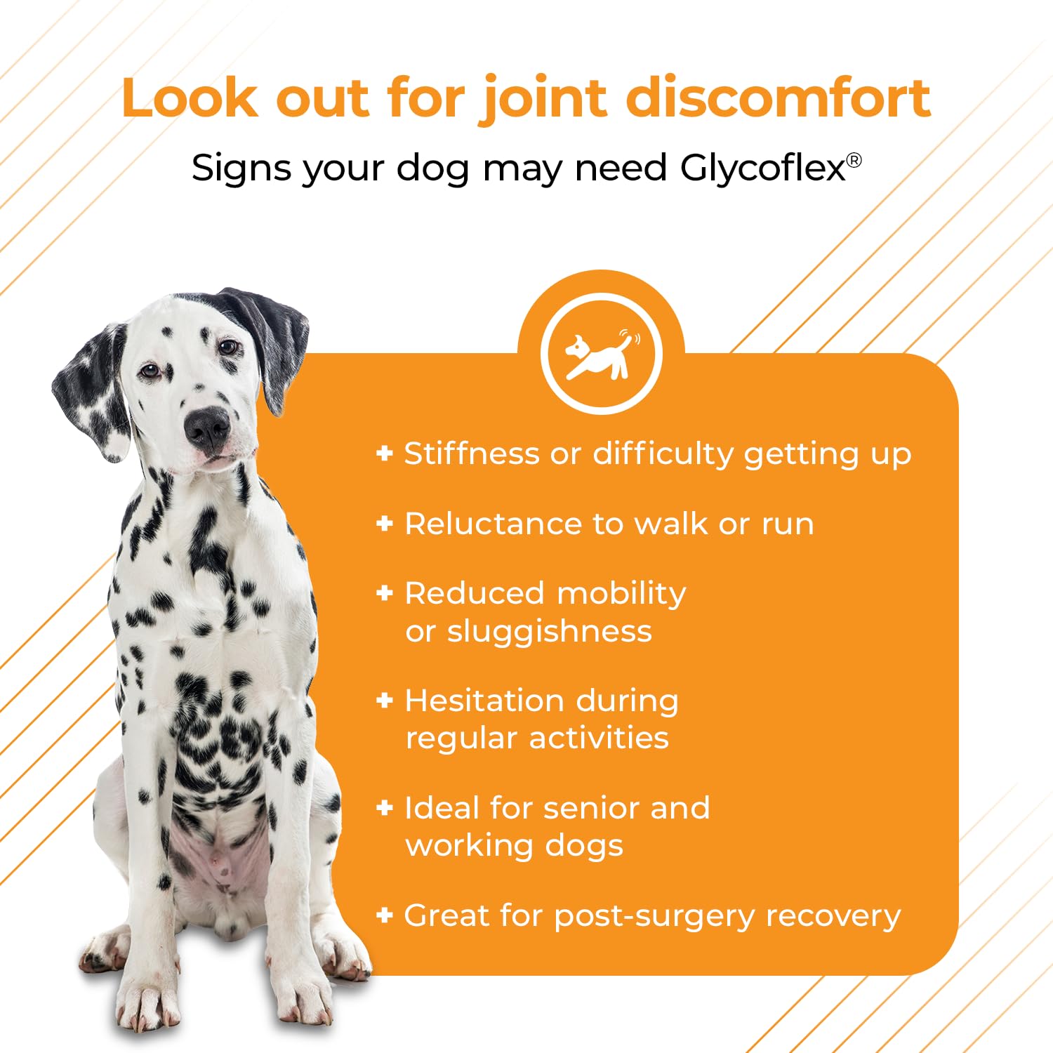VetriScience Glycoflex 3 Clinically Proven Hip and Joint Supplement for Dogs - Maximum Strength Dog Supplement with Glucosamine, MSM, Green Lipped Mussel & DMG - 2 Pack (120 Chewable Tablets Each)