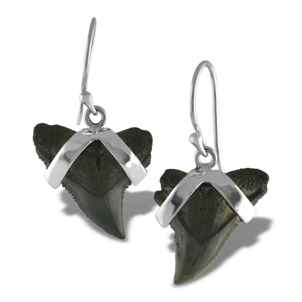 Fossil Shark Tooth Sterling Silver Earrings