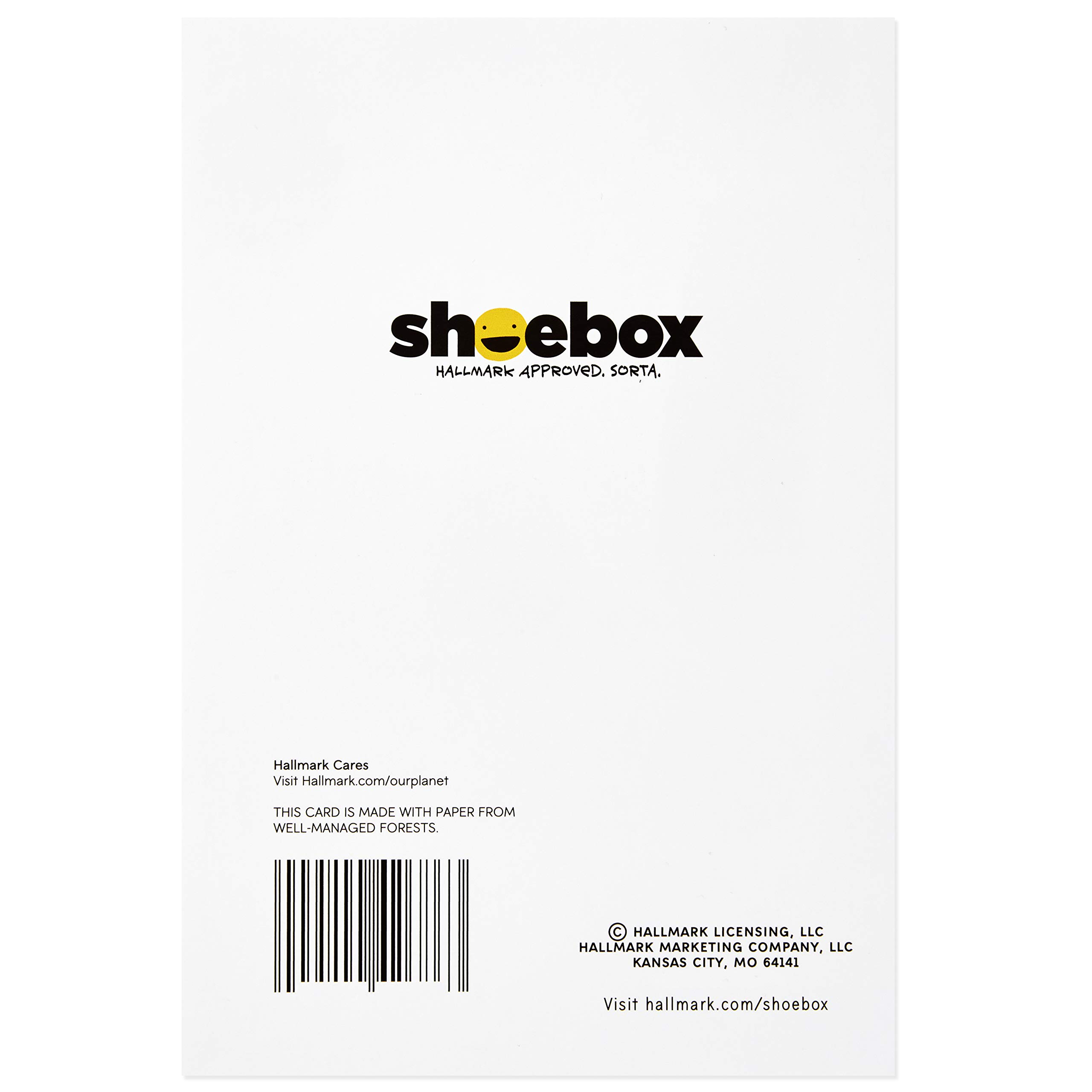 Hallmark Shoebox Funny Birthday Card (Cats Don't Care That It's Your Birthday)