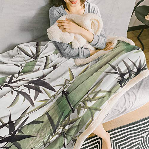 Sherpa Fleece Throw Blanket Washable Warm Couch Throws Asian Bamboo Soft Fuzzy Plush Blankets Comfy for Home Bed Sofa Dorm Spring Natural Plant Plum Blossom Ink 39x49 Inches