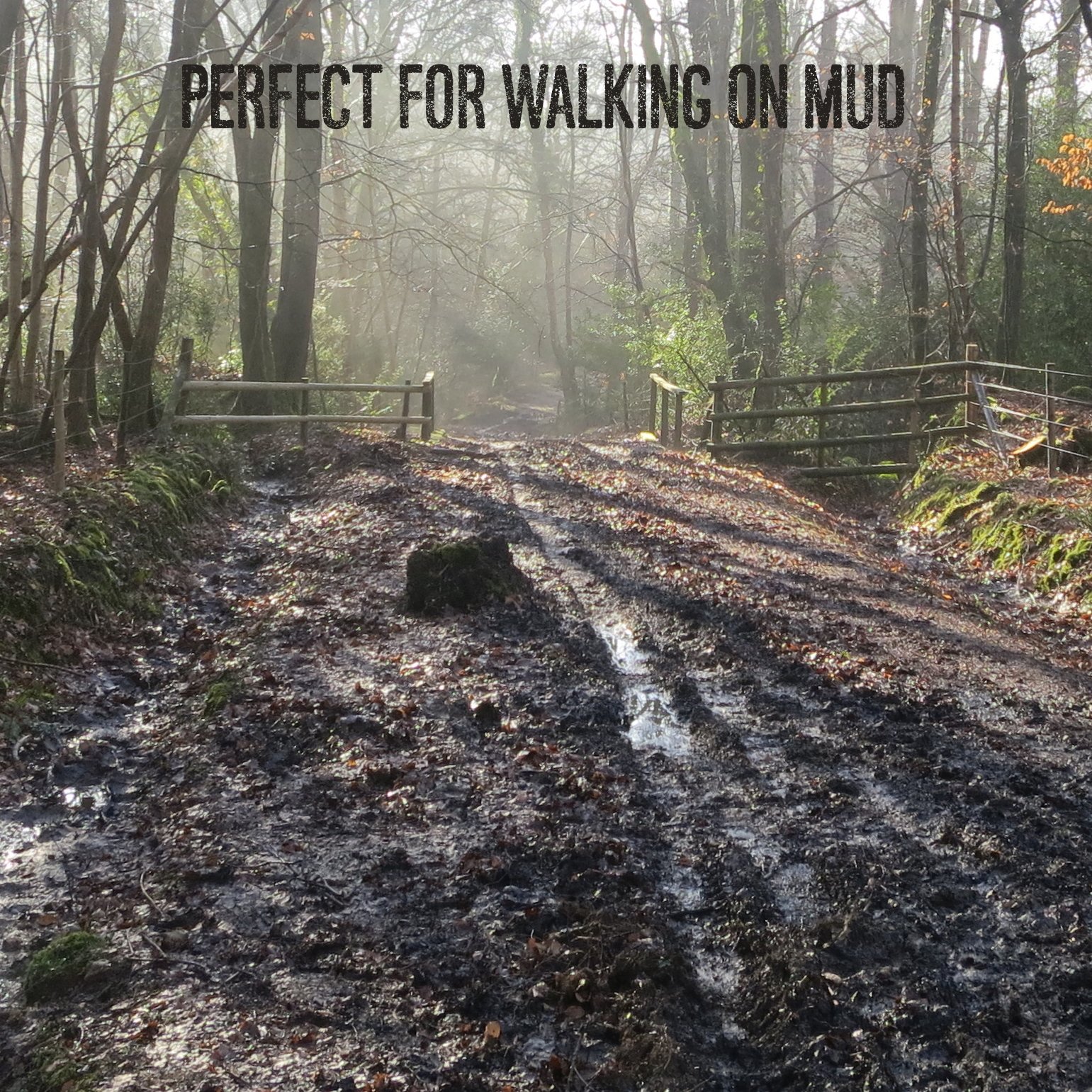 Foxelli Trekking Poles Mud Baskets - Perfect for Walking in Mud …