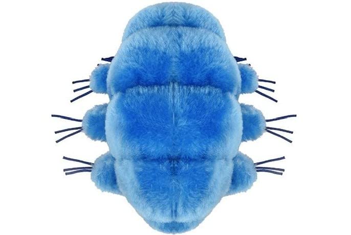 GIANTmicrobes Tardigrade Plush, Water bear Plush Toy, Biology Gifts, Microbiology Gifts, Tardigrade Stuffed Animal, Tardigrade Gifts, Tardigrade Toy