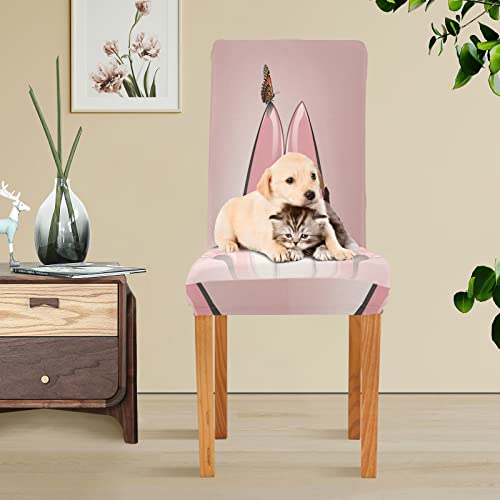 xigua Elegant Pink High Heels Chair Covers Protector 4PCS for Dining Room,Chair Slipcover Washable Removable for Kitchen,Hotel,Restaurant,Wedding