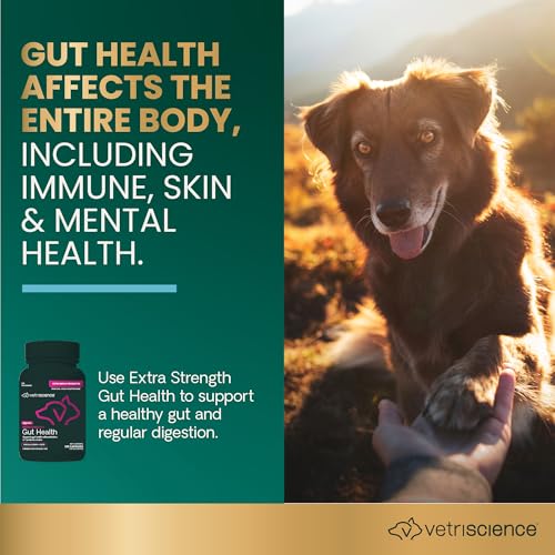 VetriScience Extra Strength Gut Health Easy-Open Capsules, Probiotic & Prebiotic Digestive Supplement for Dogs & Cats, Digestion, Gas & Diarrhea, Immune Support, 7.5 Billion CFU Per Capsule, 120 Count