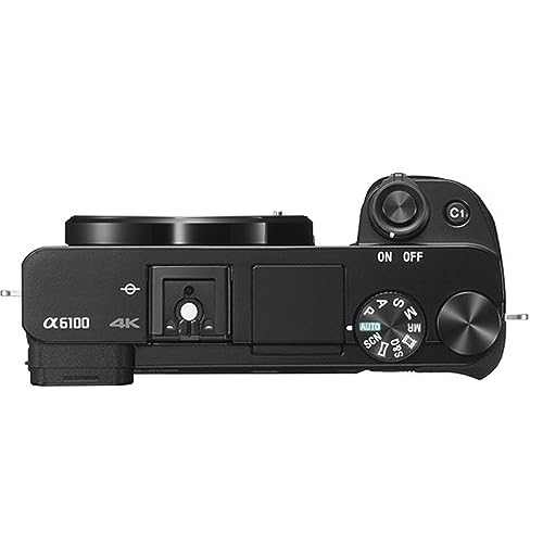 Sony a6100 Mirrorless Camera with 16-50mm + 55-210mm Lenses, 64GB Extreem Memory,Videl Microphone, LED Video Light, Case. Tripod, Filters, & Professional Video & Photo Editing Software Kit